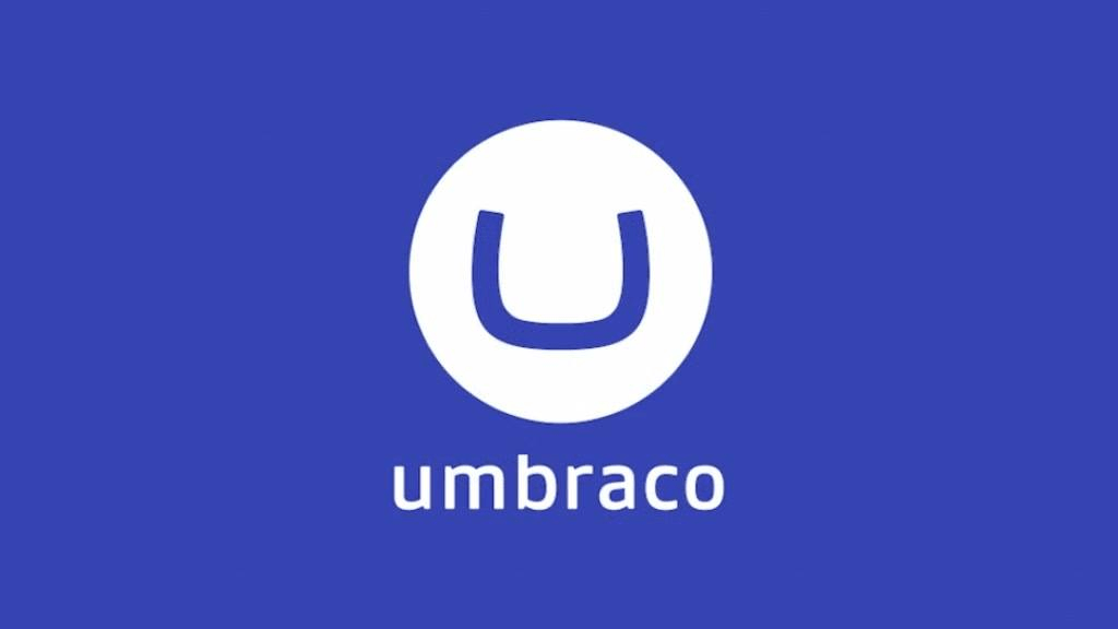What Is Umbraco? Discover Why It’s the Right CMS for Your Website